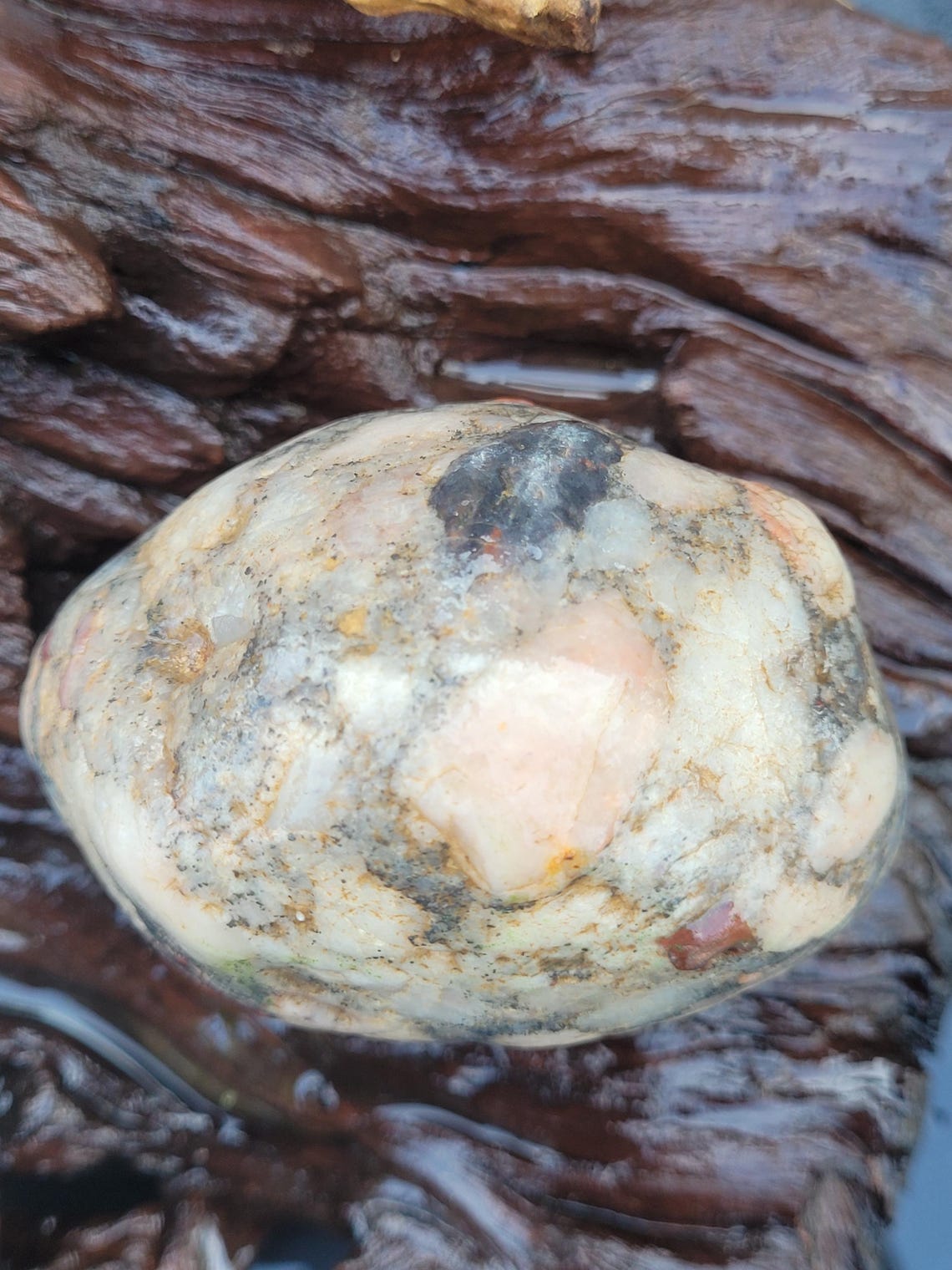 Michigan Pudding Stone, Natural, Jasper, Quartz - Etsy