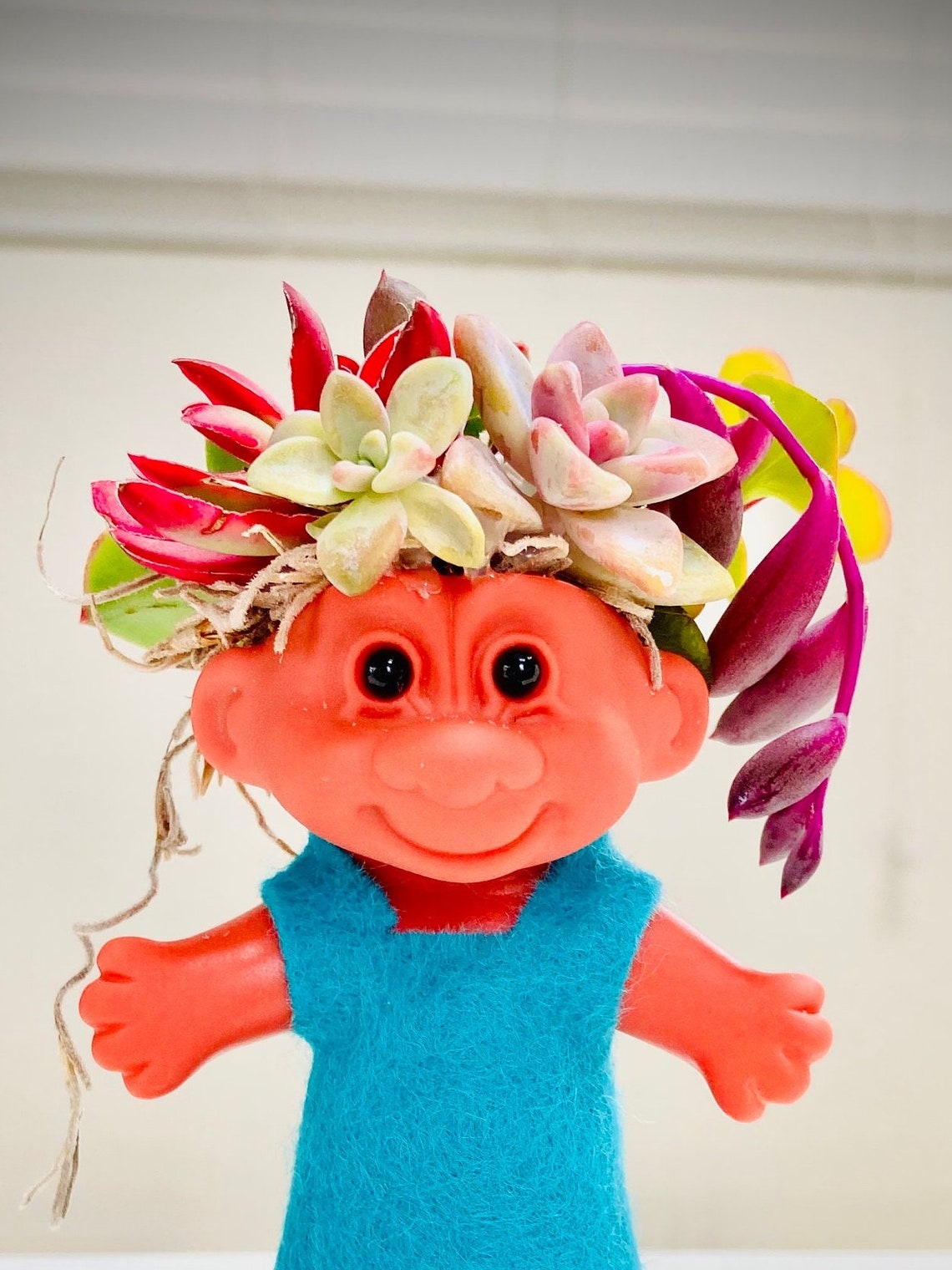Troll Doll Planter With Live Succulent Arrangement or Air Plant - Etsy