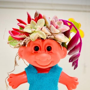 Troll Doll Planter With Live Succulent Arrangement or Air Plant - Etsy