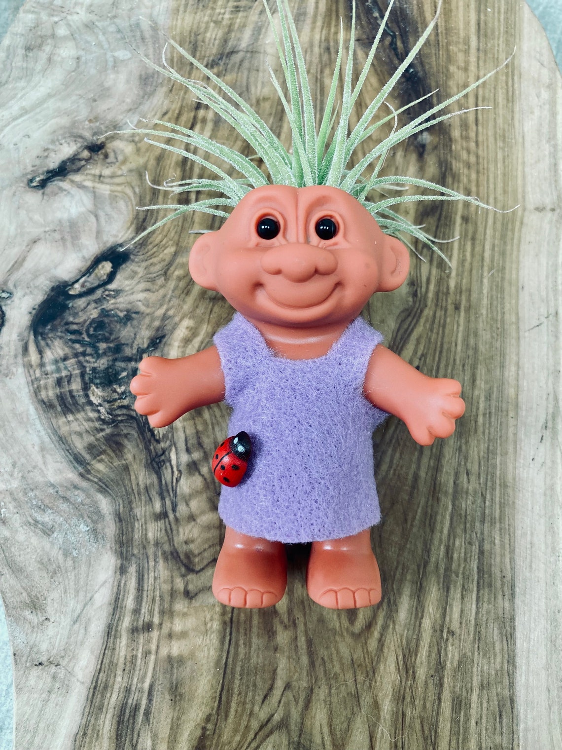 Troll Doll Planter With Live Succulent Arrangement or Air Plant - Etsy