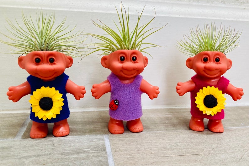 Troll Doll Planter With Live Succulent Arrangement or Air Plant - Etsy