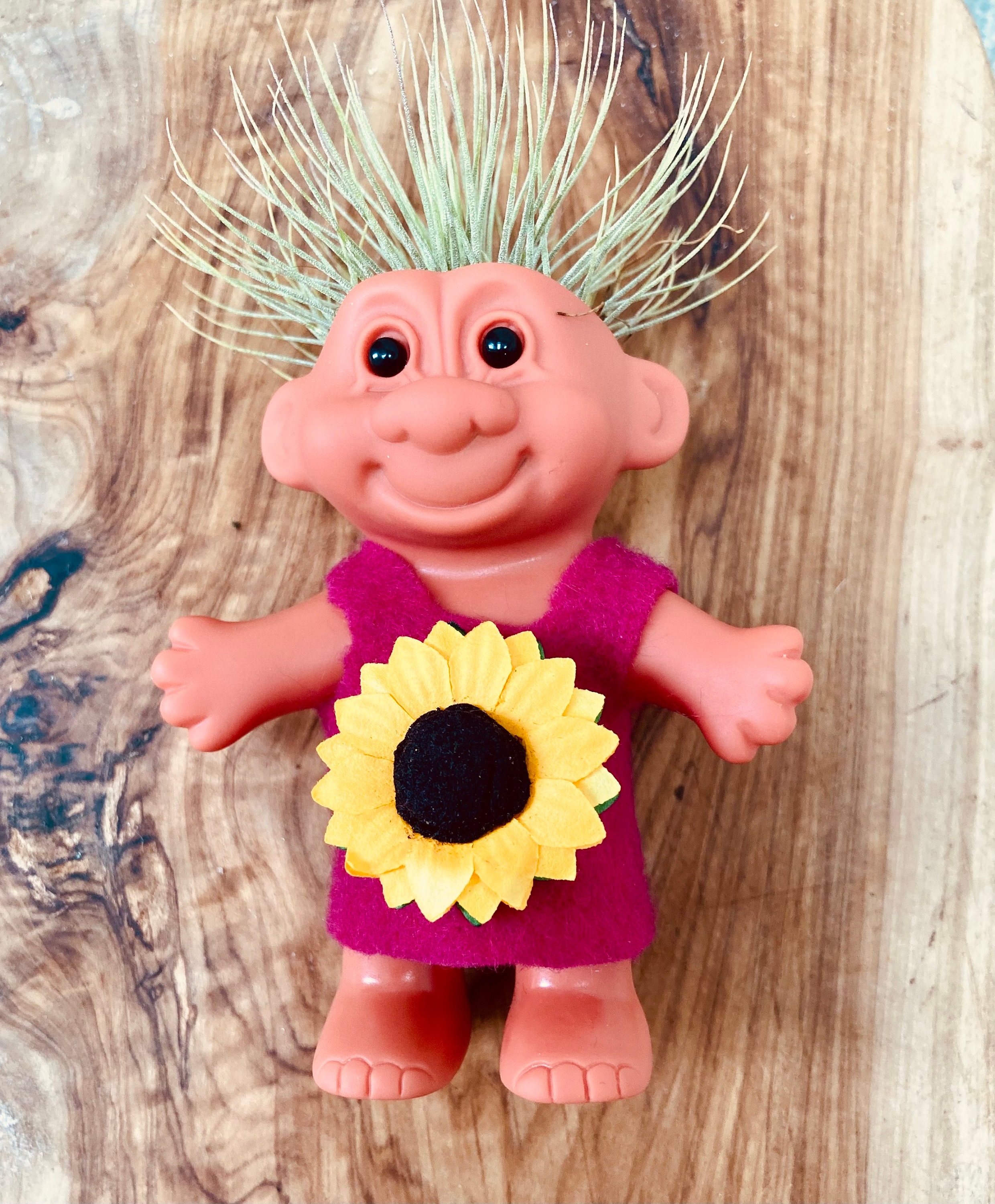 Troll Doll Planter With Live Succulent Arrangement or Air Plant - Etsy