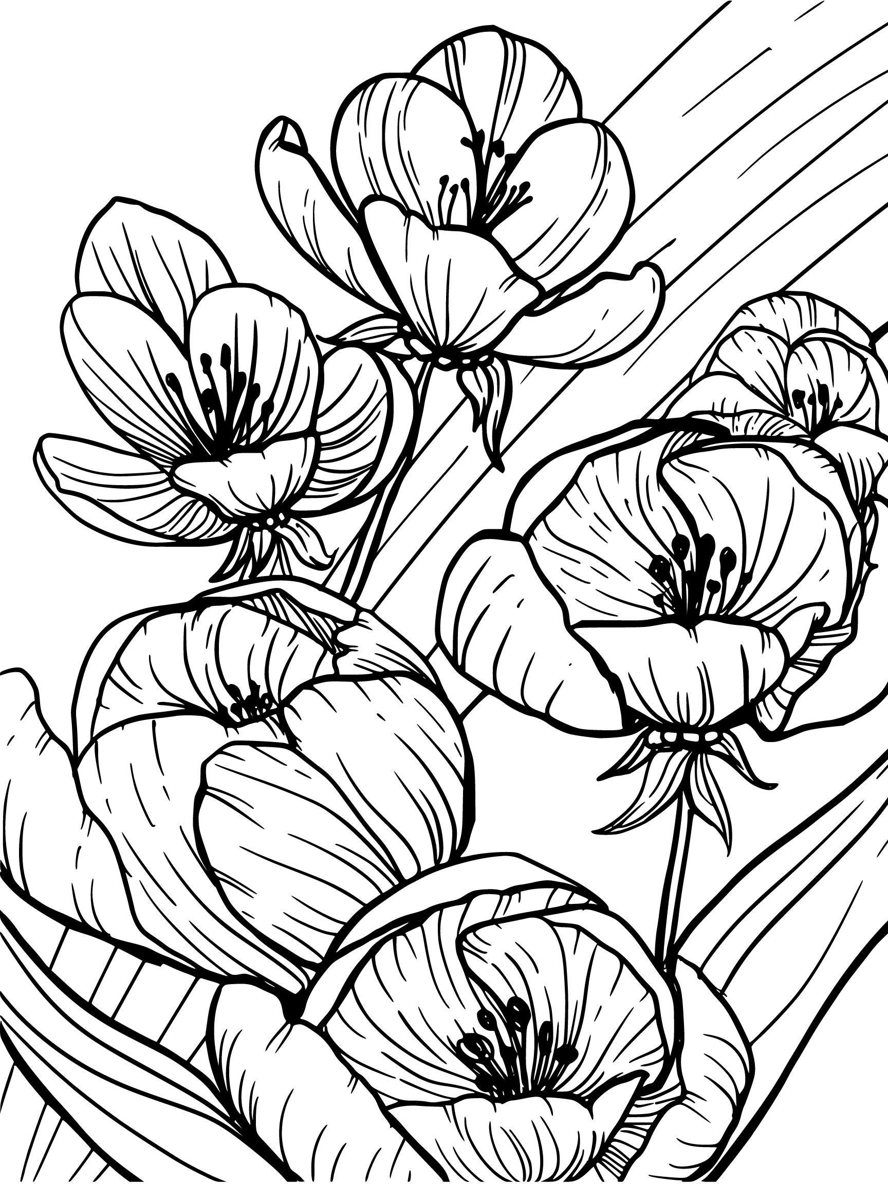 Floral Coloring Pages - Etsy