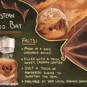 Eastern Red Bat Postcard - Etsy