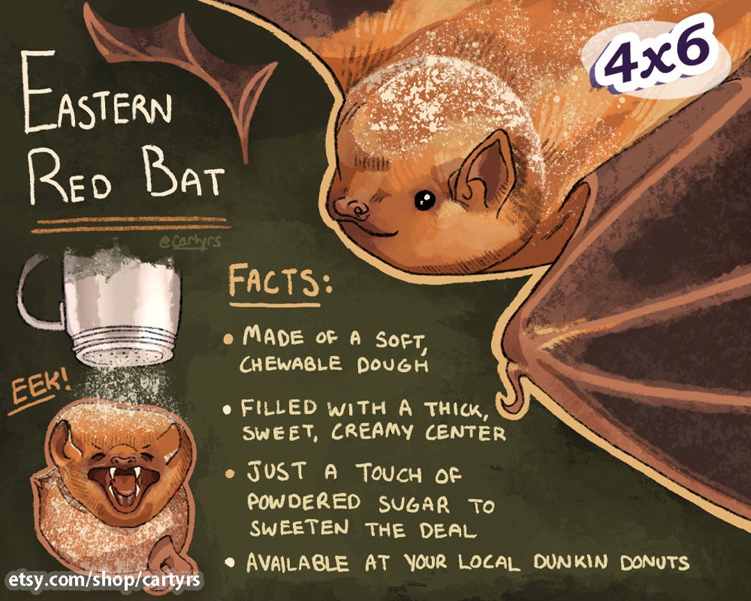 4x6 Eastern Red Bat FACTS Batty Collection - Etsy
