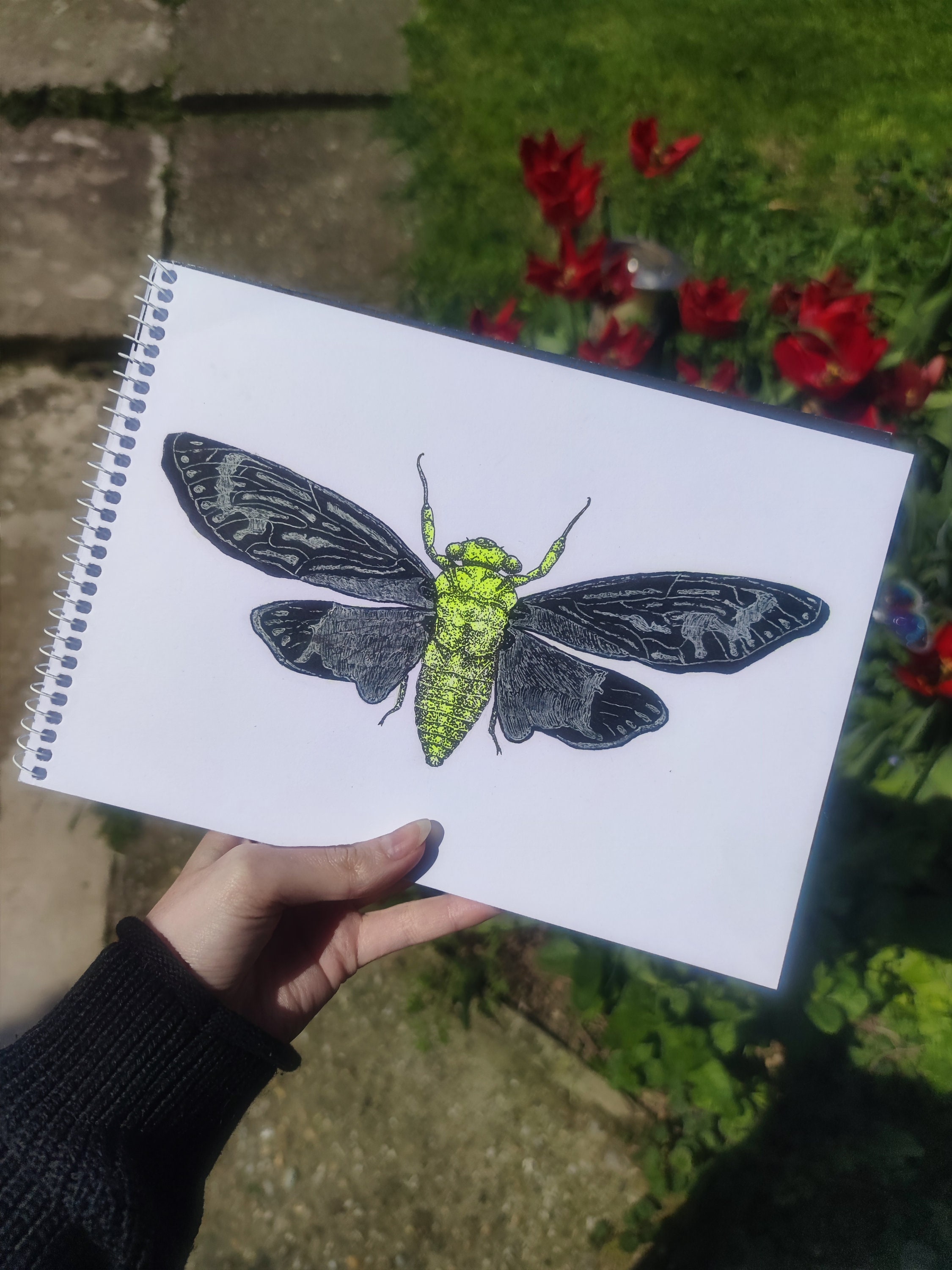 Cicada Drawing Digital Download Printable Wall Art - Etsy