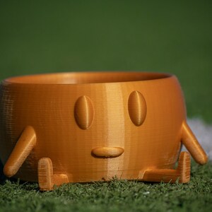 Derp Pot: A Fun Planter Pot! Great for Succulents, Flowers and Small ...