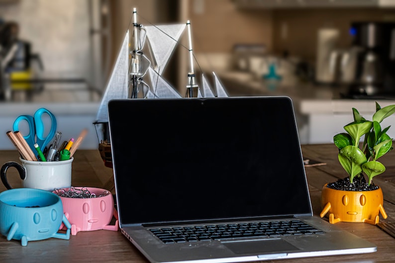 Derp Pot: A Fun Planter Pot! Great for Succulents, Flowers and Small ...