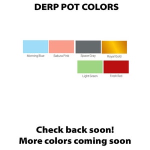 Derp Pot: A Fun Planter Pot! Great for Succulents, Flowers and Small ...