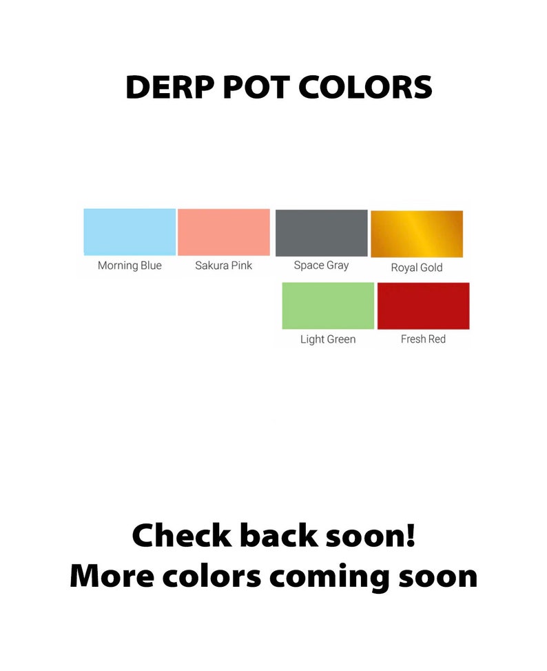 Derp Pot: A Fun Planter Pot! Great for Succulents, Flowers and Small ...