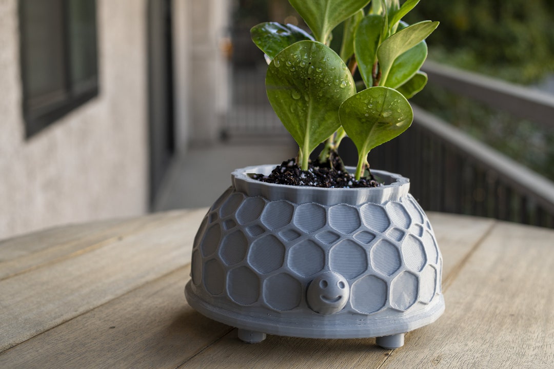 Cute Turtle Planter Pot Includes Optional Drainage Hole! - Etsy