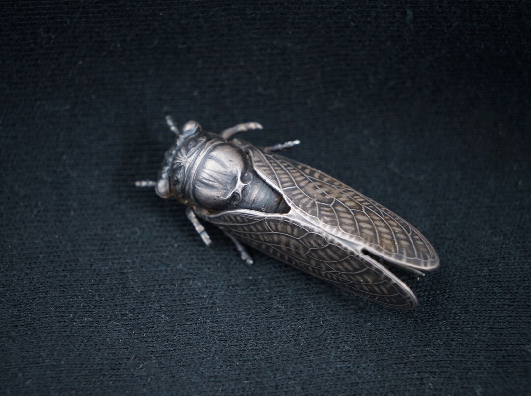 Antique Locust Pin - Etsy