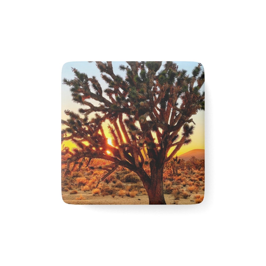 Color Nature Photography Joshua Tree, California, Porcelain Magnet ...