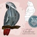 African Grey Parrot Stained Glass Pattern Digital Download Gray Bird ...