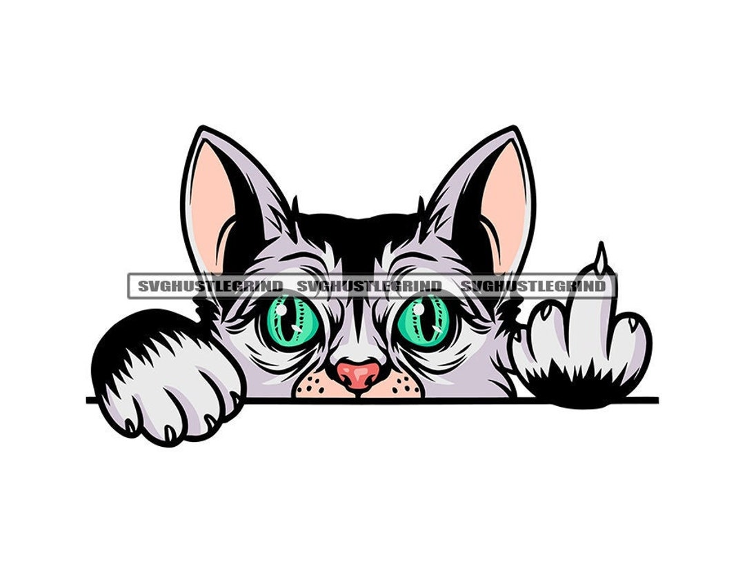 Peek A Boo Cat Kitty Feline Green Eyes Middle Paw Fingernail Gray Pink ...