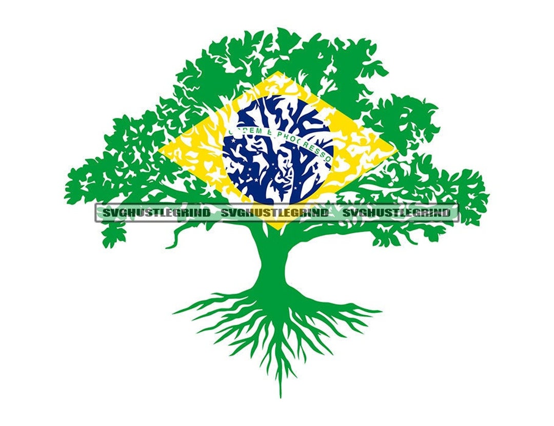 Brazil Flag Tree Green Yellow Blue Roots Symbol Nature Plant Outdoors ...