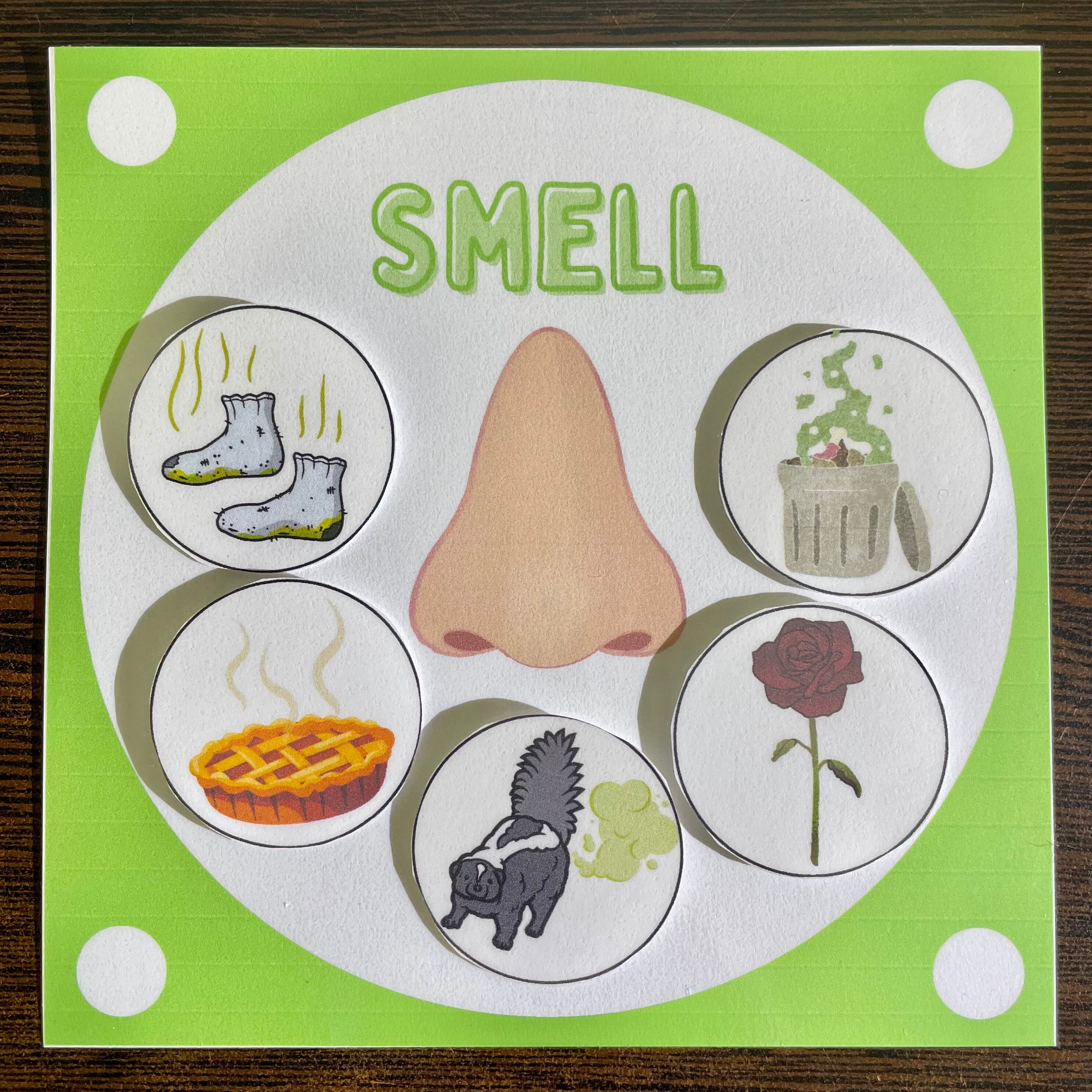 Actividad imprimible de clasificación de los cinco sentidos ...