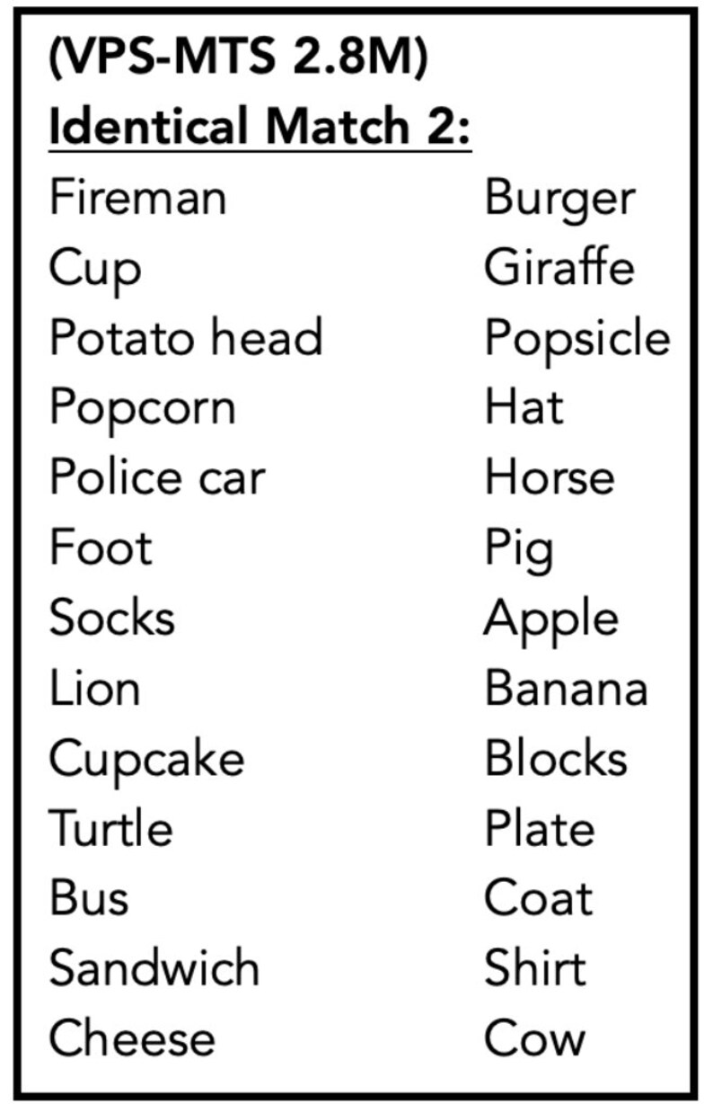 Identical Matching 1 & 2 - VB-MAPP Aligned Stimuli Set - 104 Cards ...