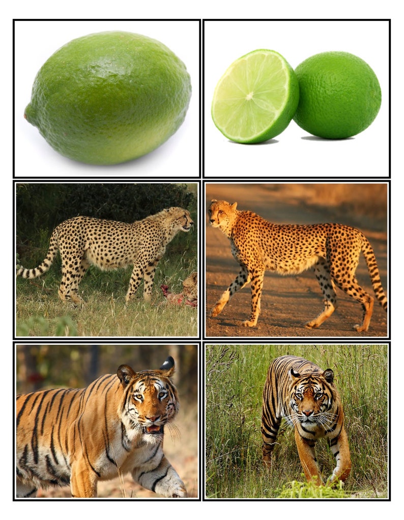 Non-identical Matching 1 & 2 - VB-MAPP Aligned Stimuli Set - 108 Cards ...