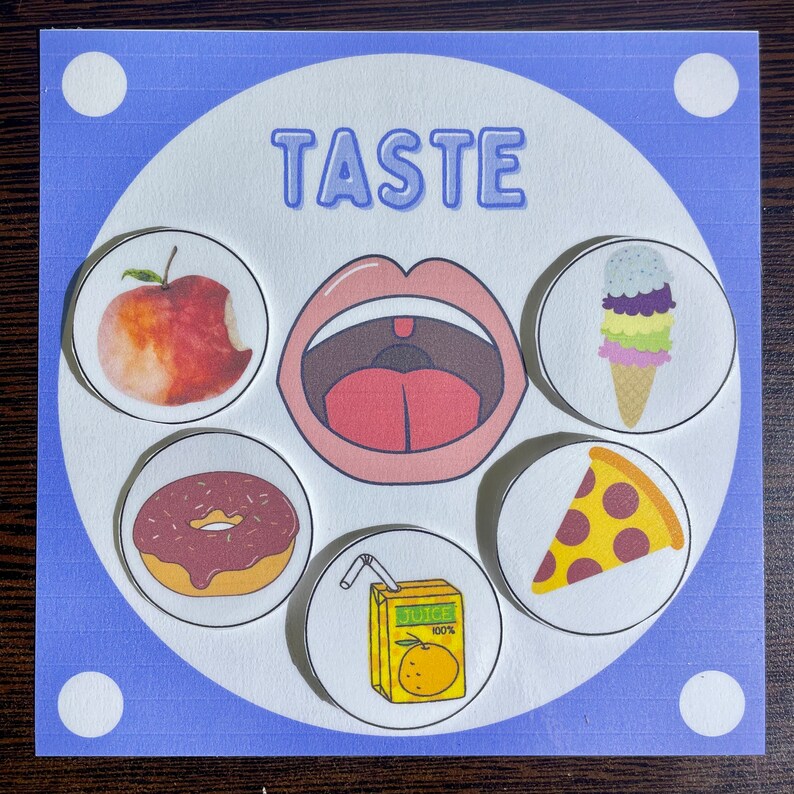 Actividad imprimible de clasificación de los cinco sentidos ...