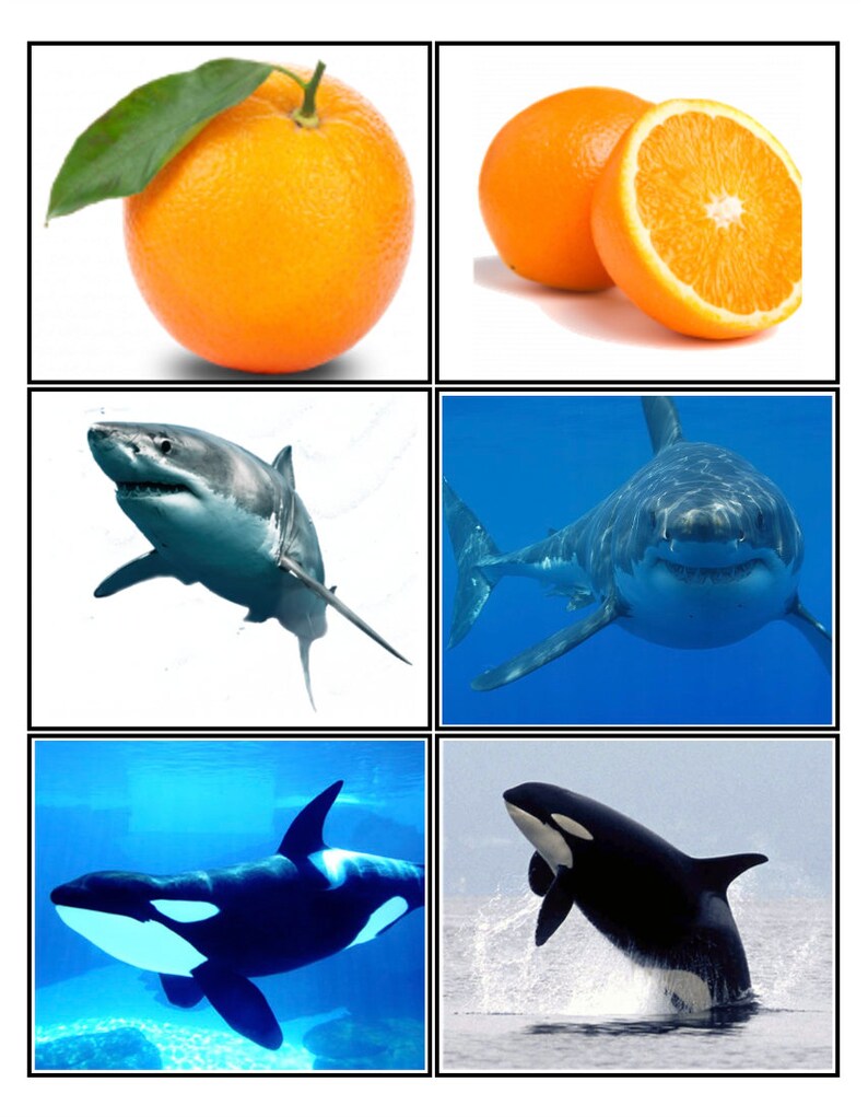 Non-identical Matching 1 & 2 - VB-MAPP Aligned Stimuli Set - 108 Cards ...