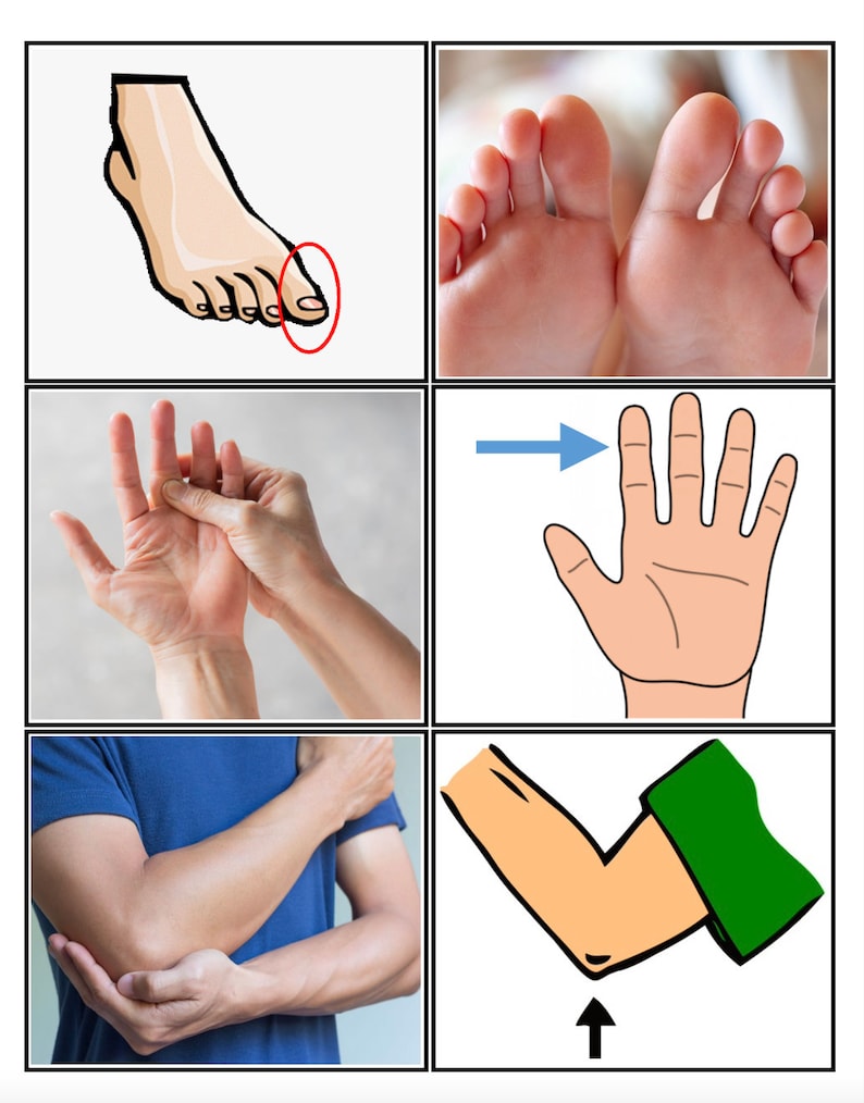 Body Parts, Toys, and Animals - VB-MAPP Aligned Stimuli Set - 125 Cards ...