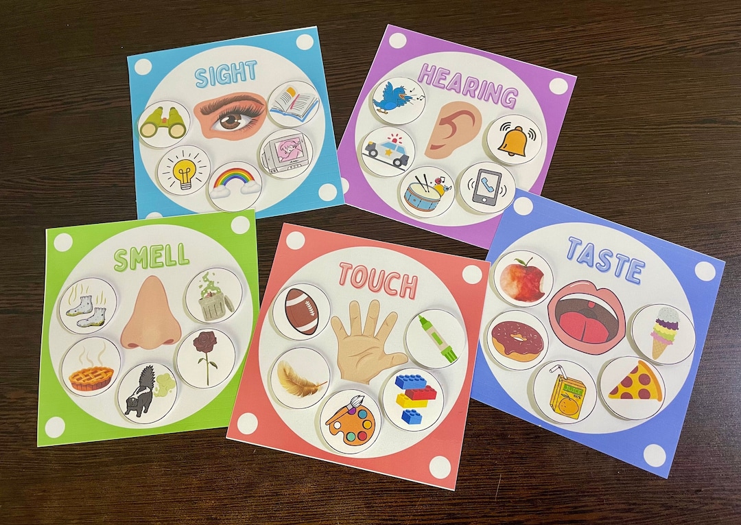 Five Senses Sorting Activity Printable Instant Download File - Etsy UK