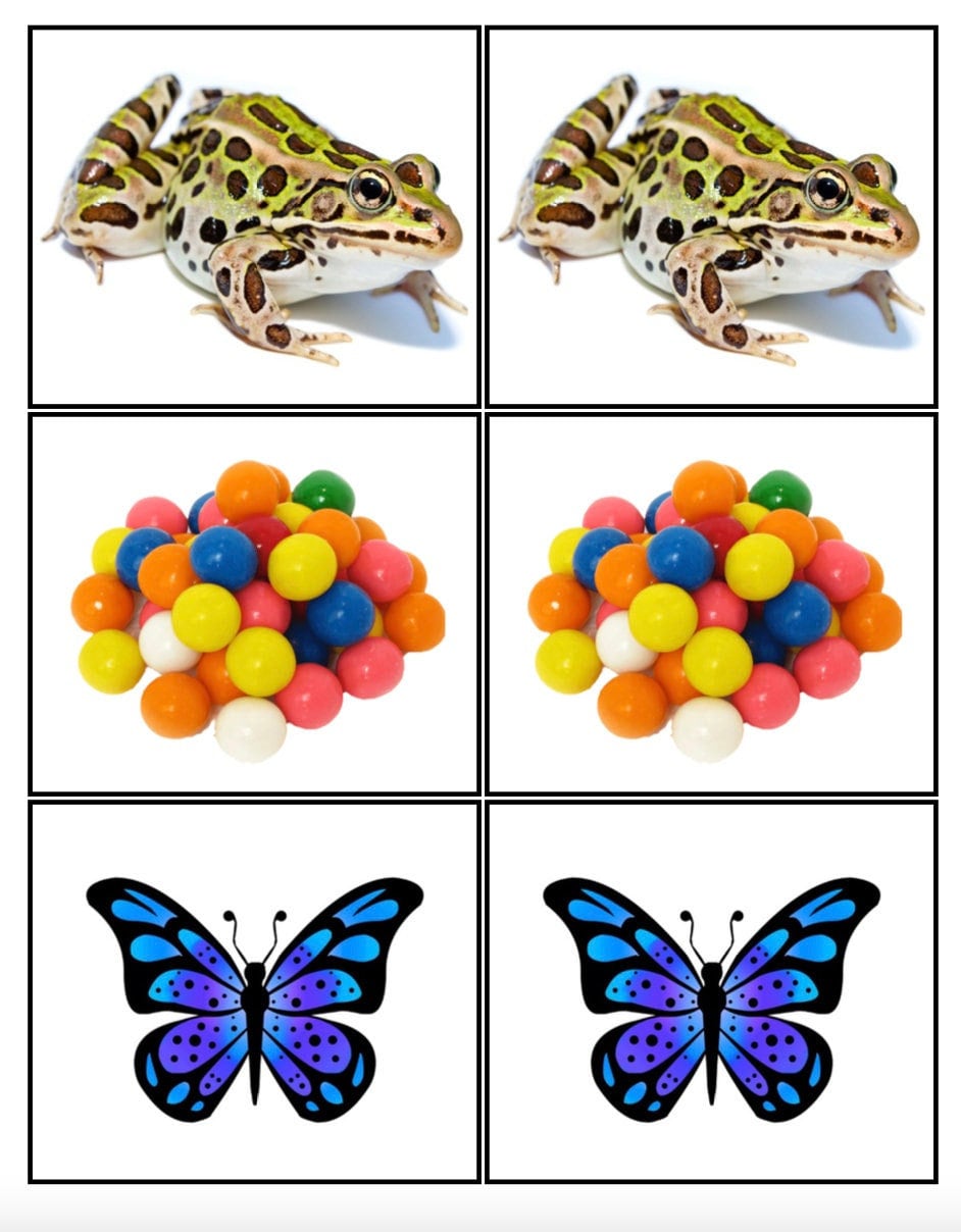 Identical Matching 1 & 2 - VB-MAPP Aligned Stimuli Set - 104 Cards ...