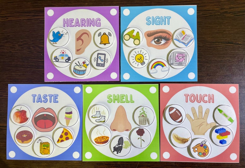 Five Senses Sorting Activity Printable Instant Download - Etsy Canada