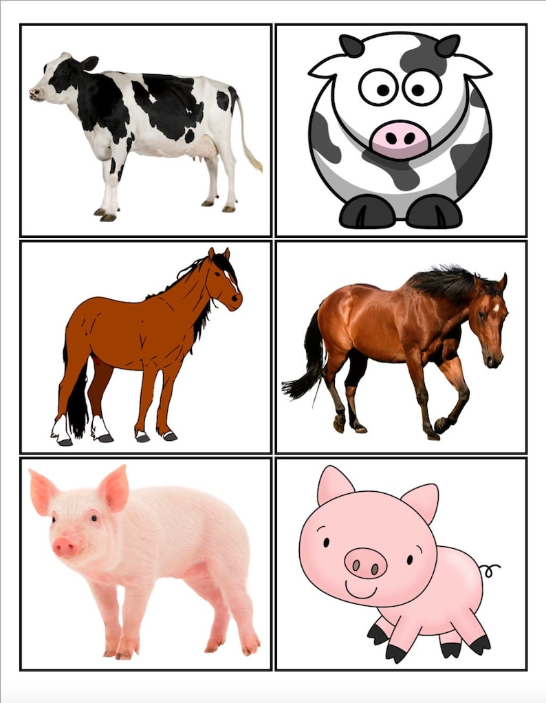 Body Parts, Toys, and Animals - VB-MAPP Aligned Stimuli Set - 125 Cards ...