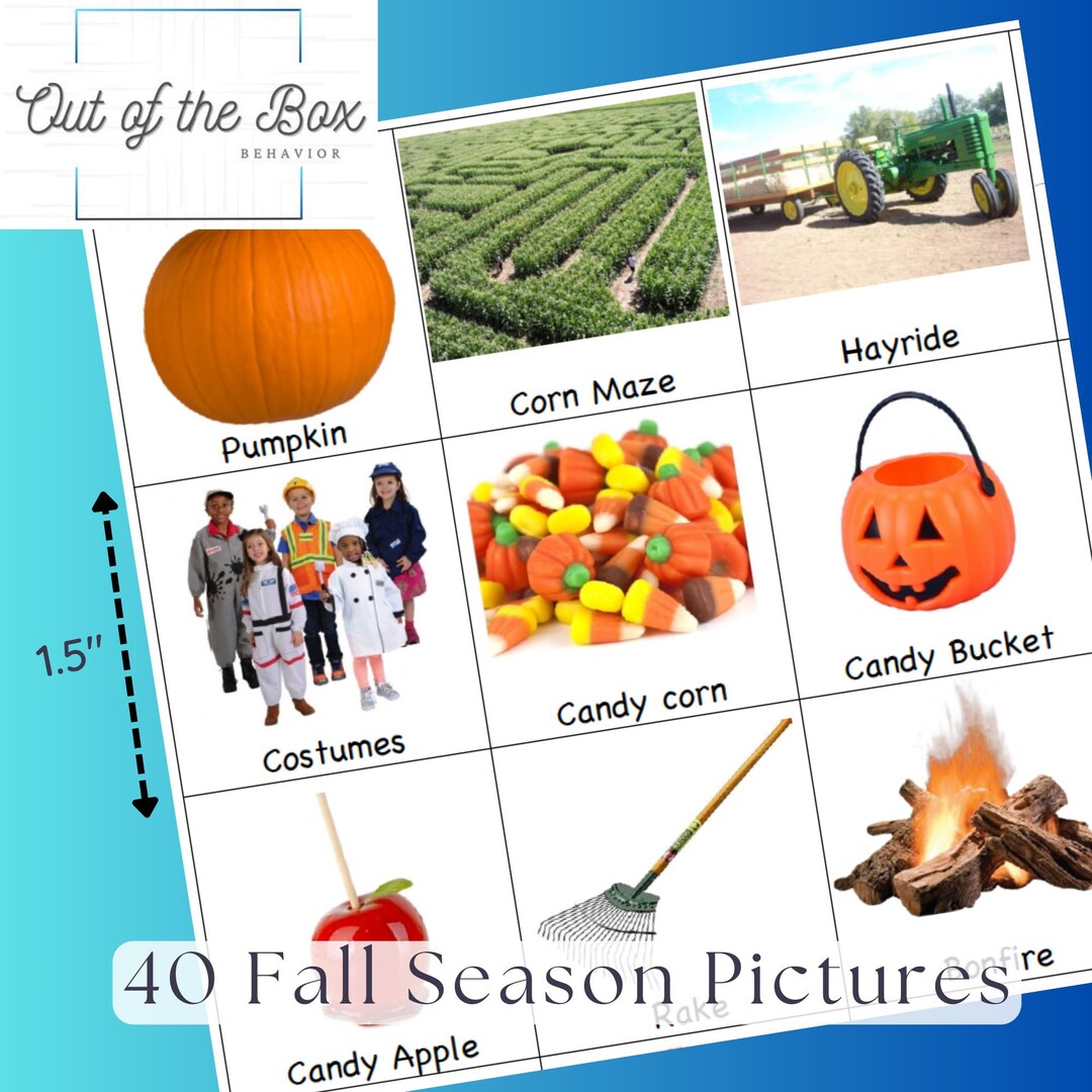 40 Fall Picture Communication Cards - Etsy