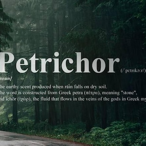 Petrichor Reed Diffuser {the Scent of Rain} - Earthy Moss Scent Ozone ...