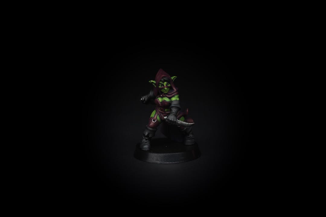 Painted Mini DND Female Goblin Rogue - Etsy