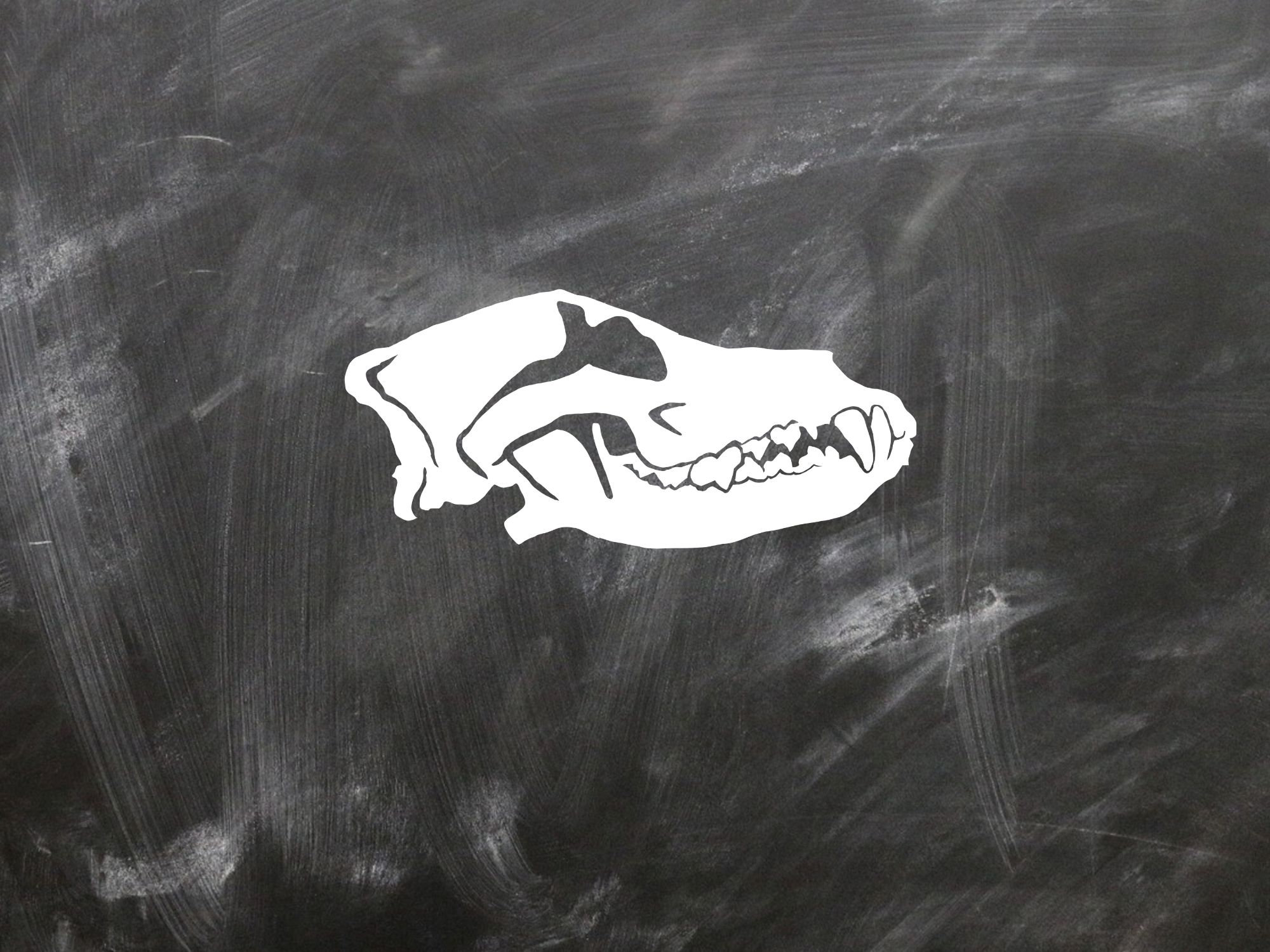 Wolf Skull Decal Car Decal Wolf Skull Sticker Durable - Etsy