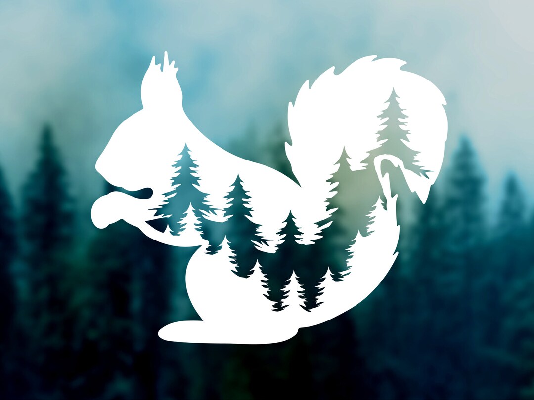 Squirrel Decal | Squirrel Stickers, Nature Stickers, Nature Car Decal ...