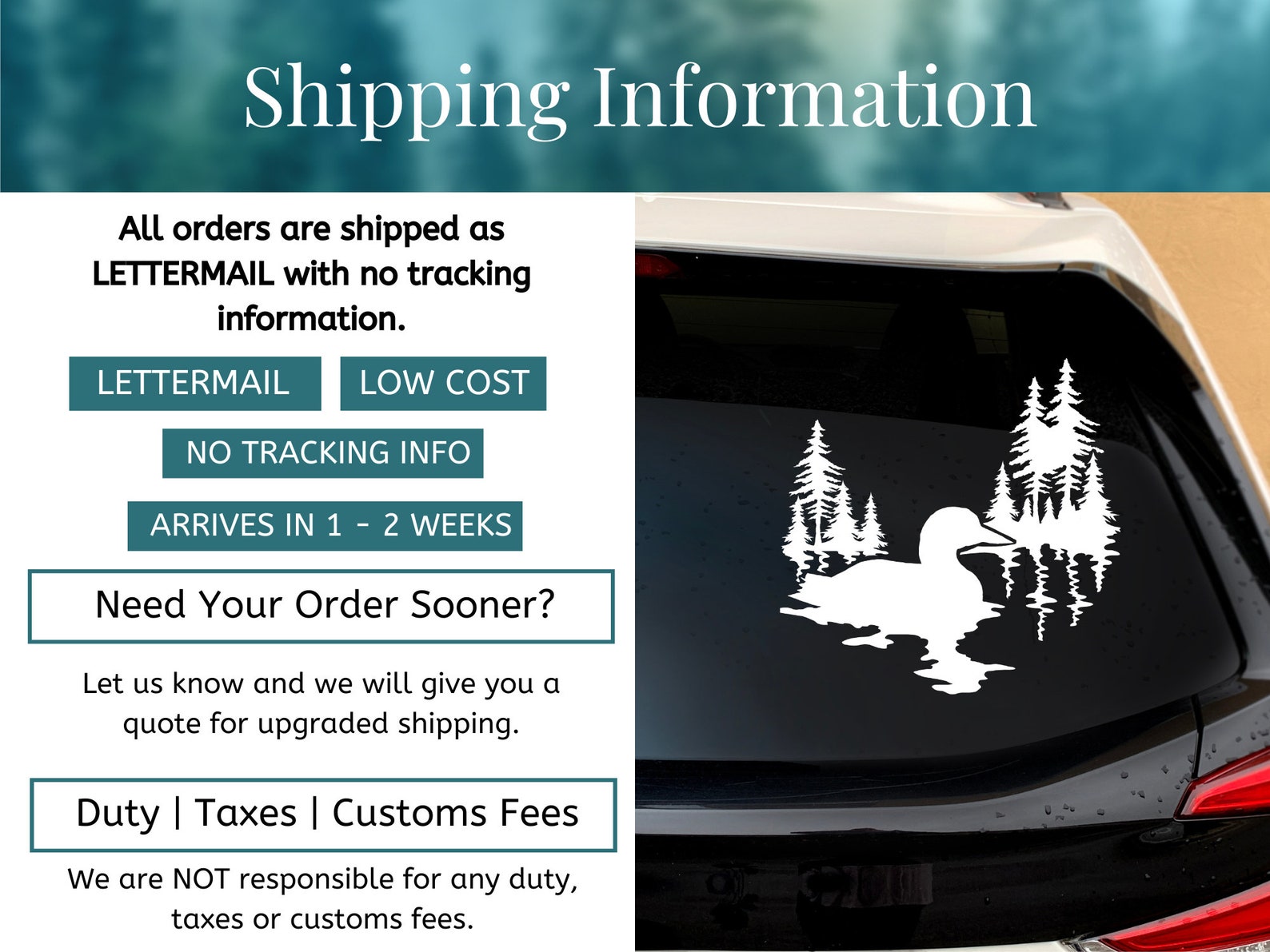 Loon Sticker Loon Vinyl Decal Lake Sticker Lake Decal - Etsy