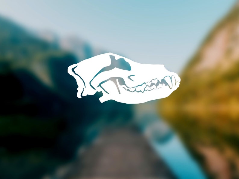 Wolf Skull Decal Car Decal Wolf Skull Sticker Durable Waterproof Vinyl ...