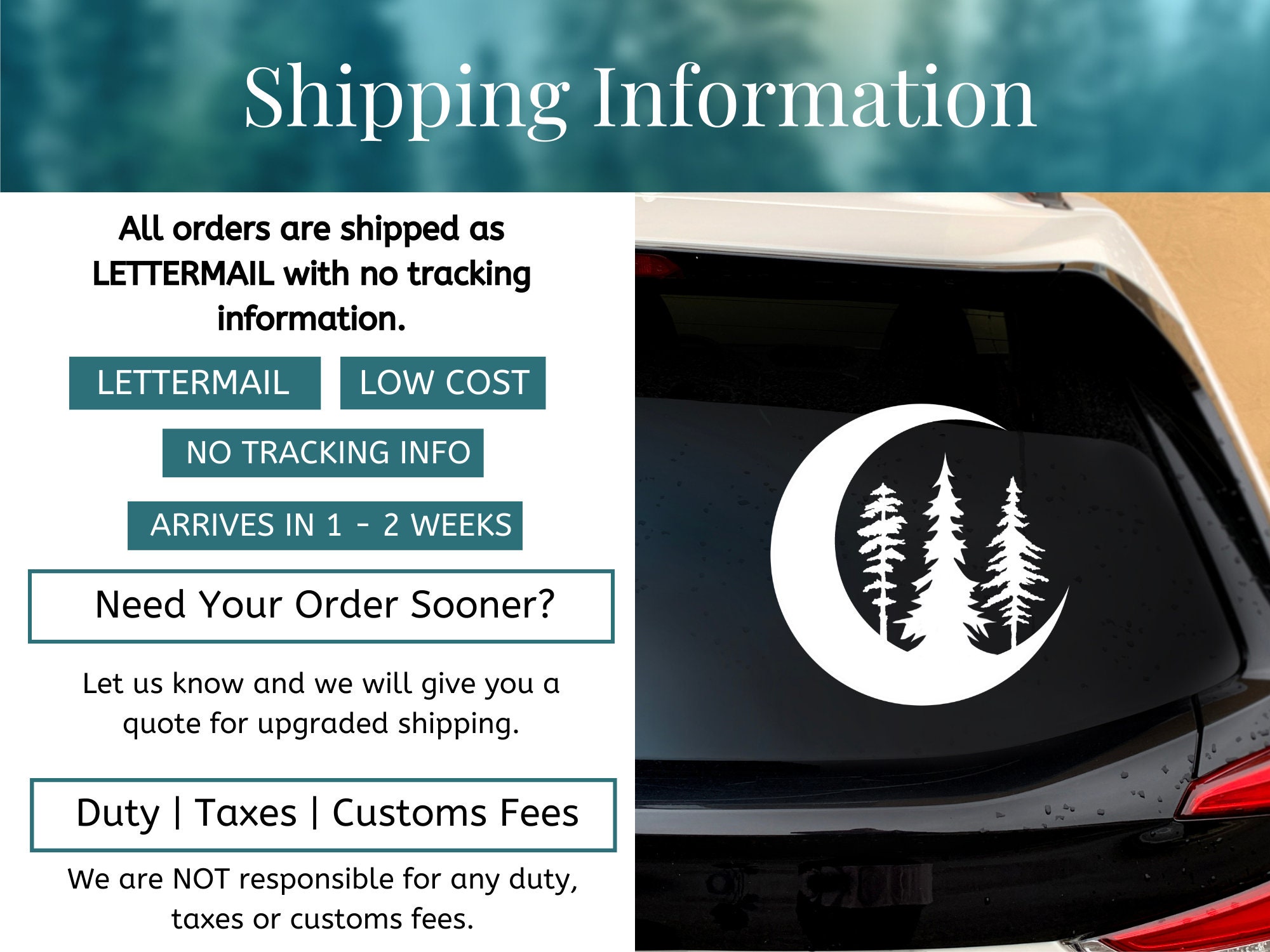 Crescent Moon Decal Tree Stickers Nature Stickers Nature - Etsy