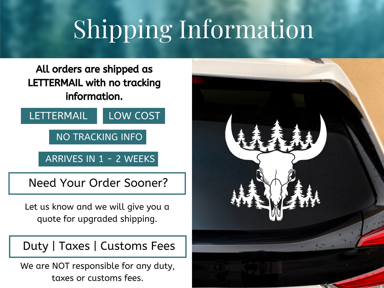 Cow Skull Decal | Bull Skull Stickers, Nature Stickers, Nature Car ...