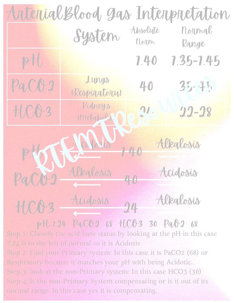ABG Interpretations Step by Step Guide - Etsy
