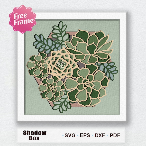 Succulent Box - Etsy