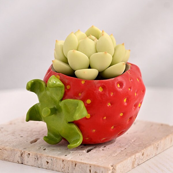 Strawberry Planter - Etsy