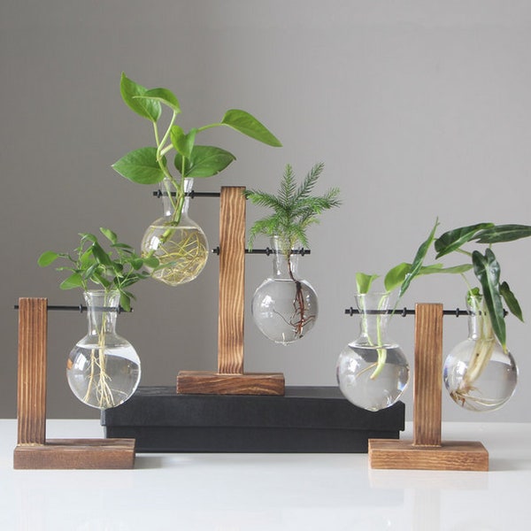 Glass Planter - Etsy