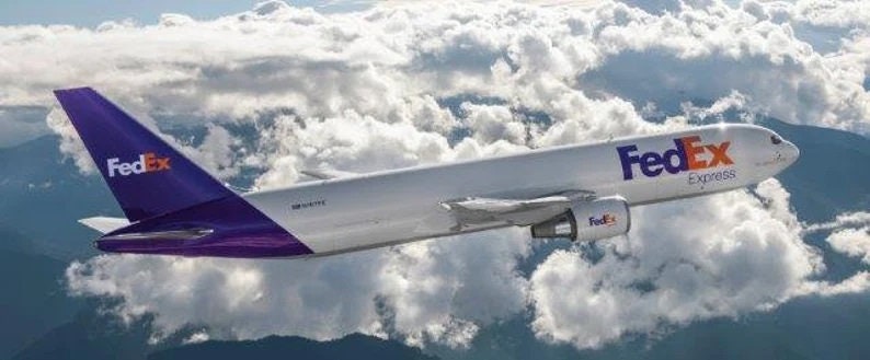 Leopard Area Rug, Animal Print Rug, Green Area Rug Carpet, Hand Tufted ...