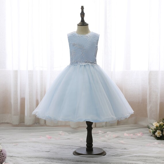 Light Blue Girls Dress Scoop Neck Tulle Flowers Sleeveless - Etsy
