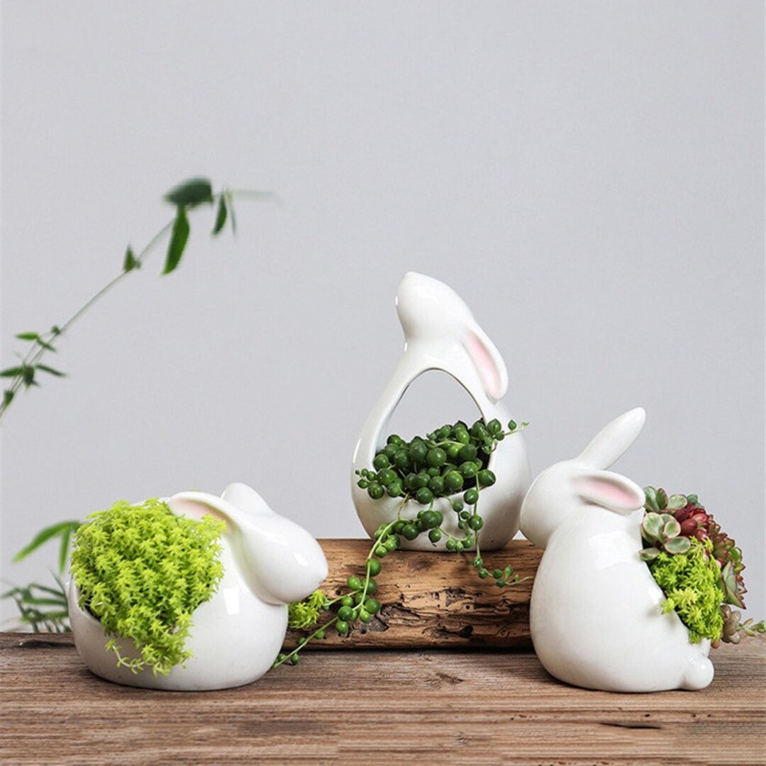 Cartoon Rabbits Flowerpot Succulents Ceramic Flower Pot - Etsy Australia