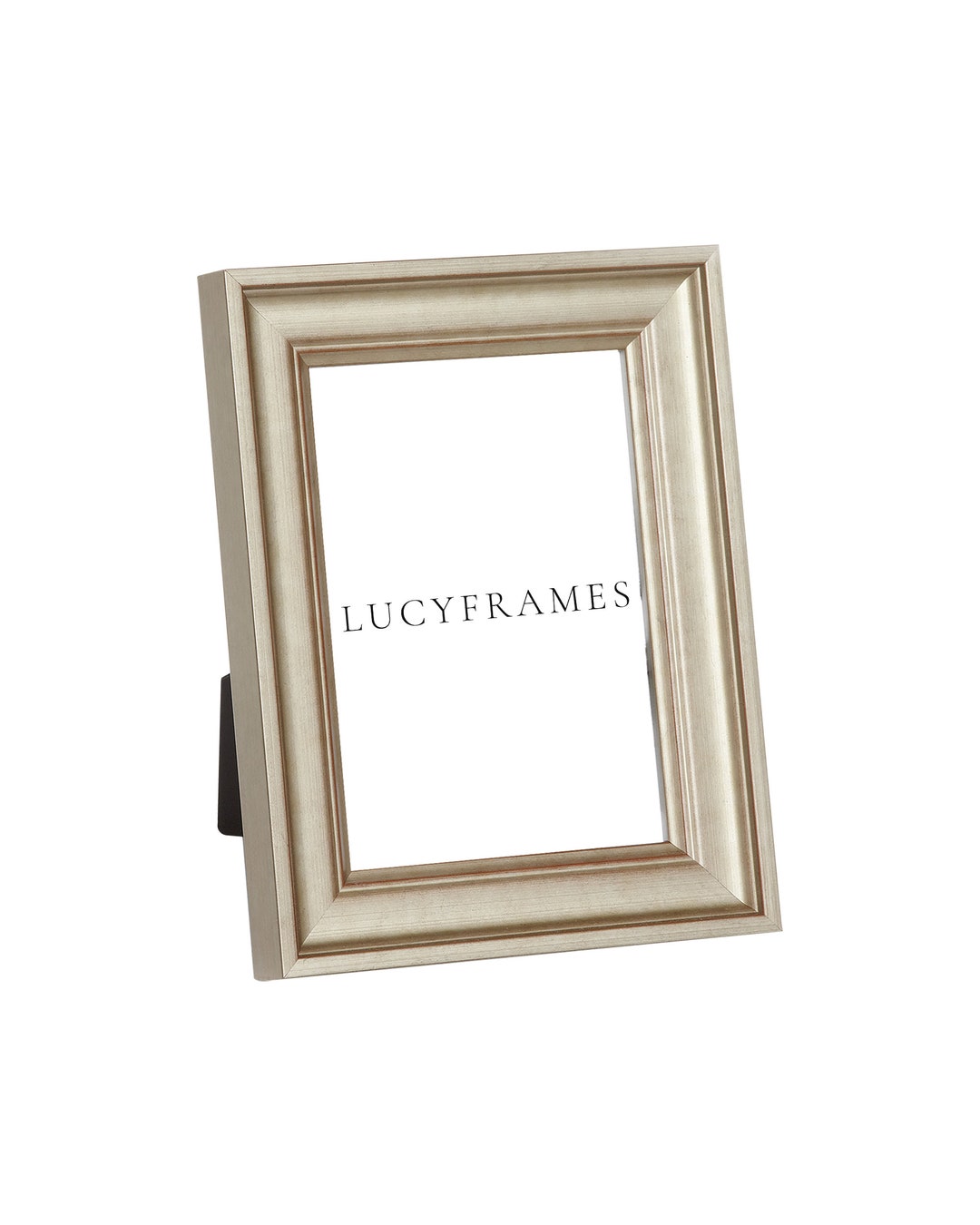 Leonore Silver Frame. Traditional Decor. Minimalistic Modern Photo ...