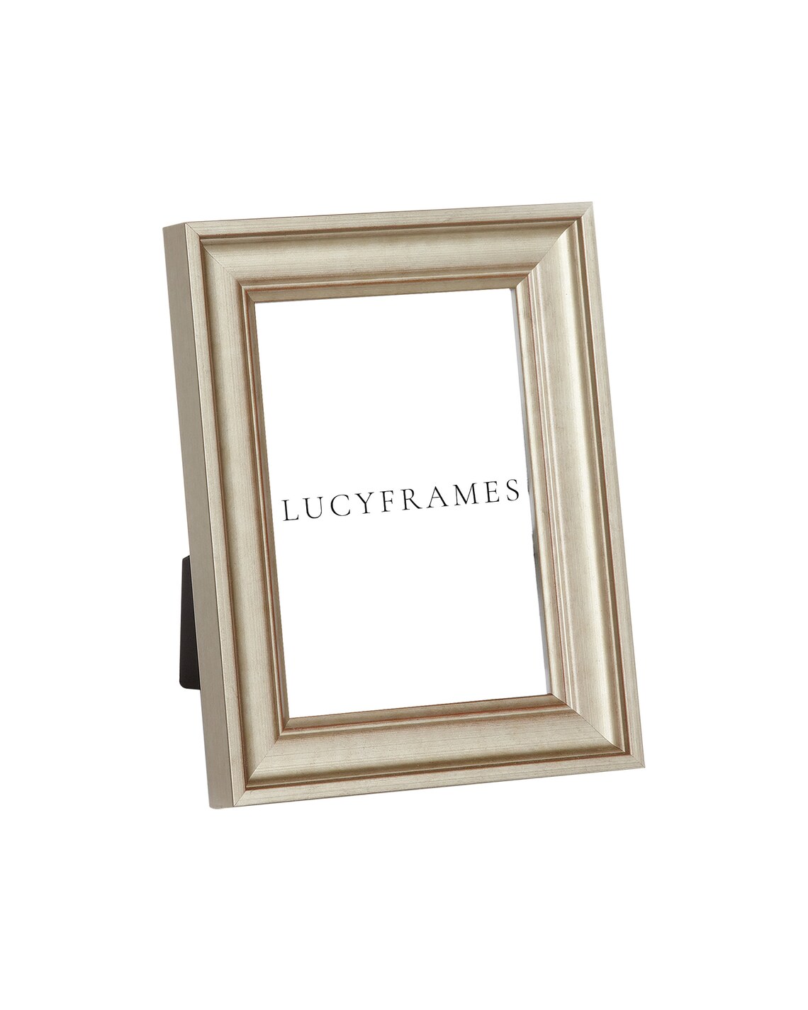Leonore Silver Frame. Traditional Decor. Minimalistic Modern Photo ...