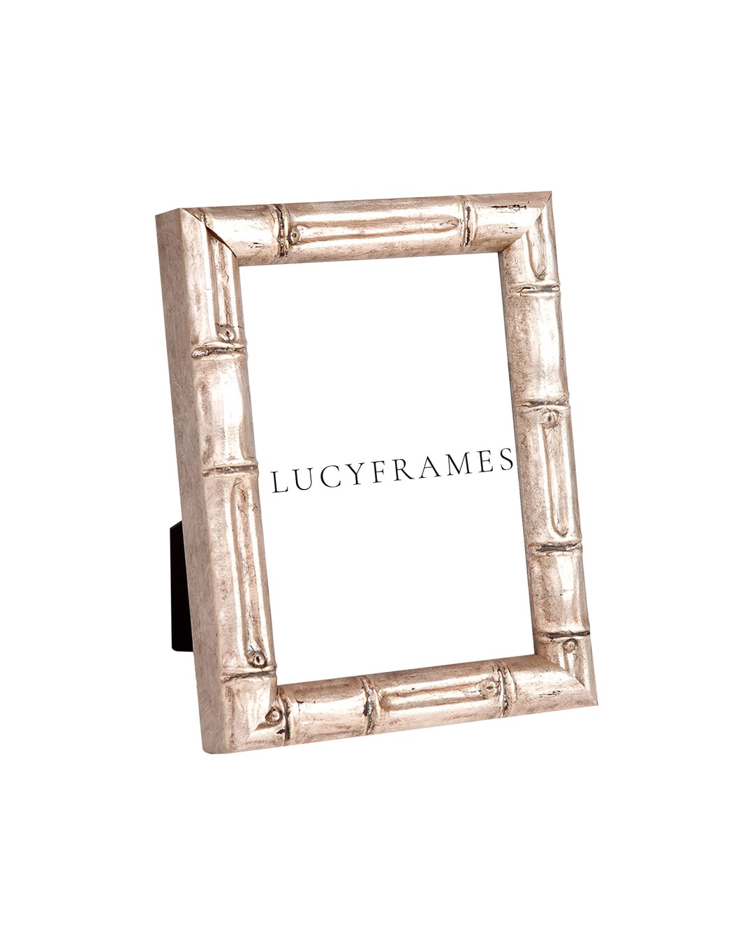 Silvana Rose Frame. Rose Picture Frame. Modern Photo Frame. Sparkle ...