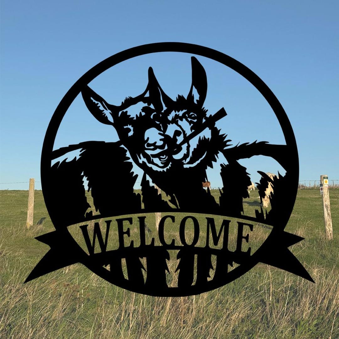 Custom Donkey Metal Sign, Personalised Donkey Room Decoration, Donkey ...